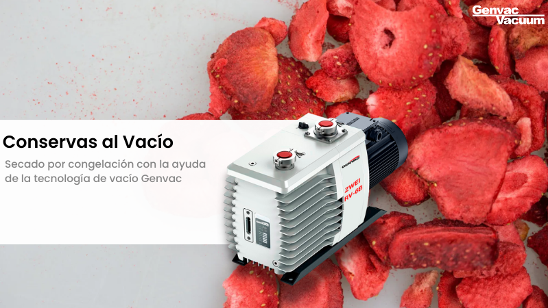 Bombas de vacio de paletas rotativas - ®Genvac Vacuum